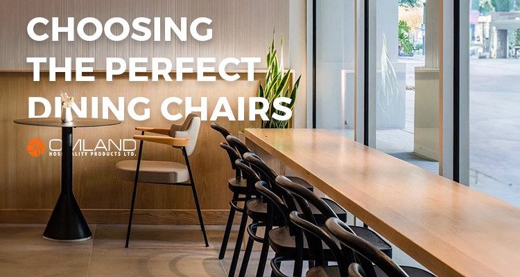 Choosing the Perfect Dining Chairs: A Guide to Comfort, Style, and ...