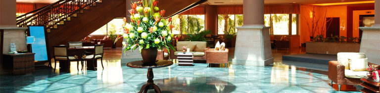 The Palette of Emotions: How Color Influences Guest Experience in ...